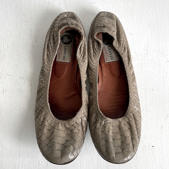 Lanvin | Shoes | Lanvin Flat Python Balerina | Poshmark